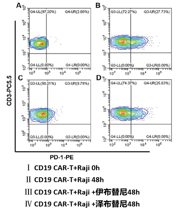 BTKi可以协同CAR-T治疗淋巴瘤吗？