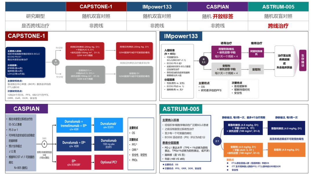 十三分之一！｜深度剖析ES-SCLC免疫治疗研究:生存要量也要质