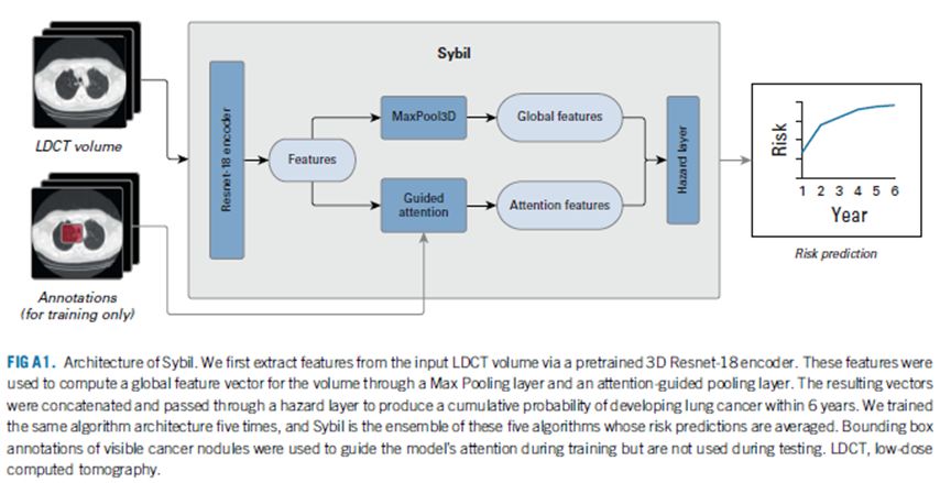 Sybil：基于单次LDCT预测未来肺癌风险的深度学习模型