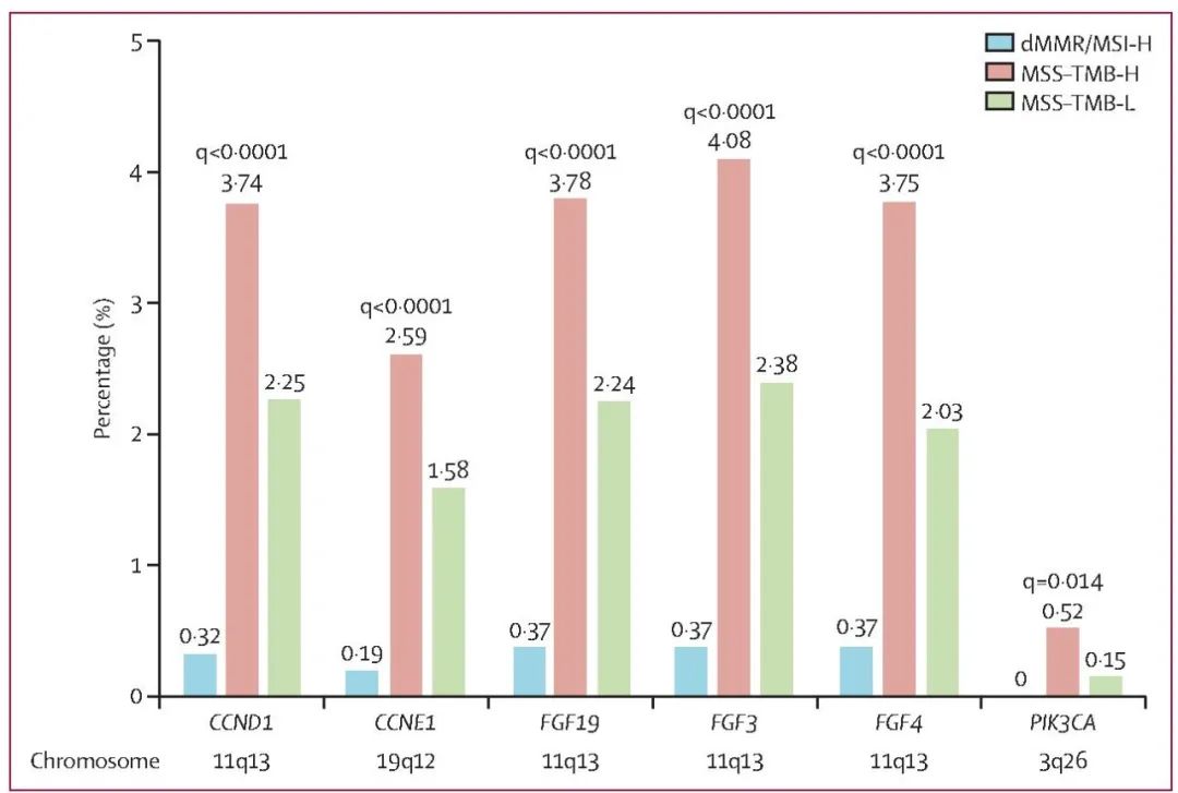 一项回顾性队列研究：具有高肿瘤突变负荷的微卫星稳定的胃肠道癌症的突变分析