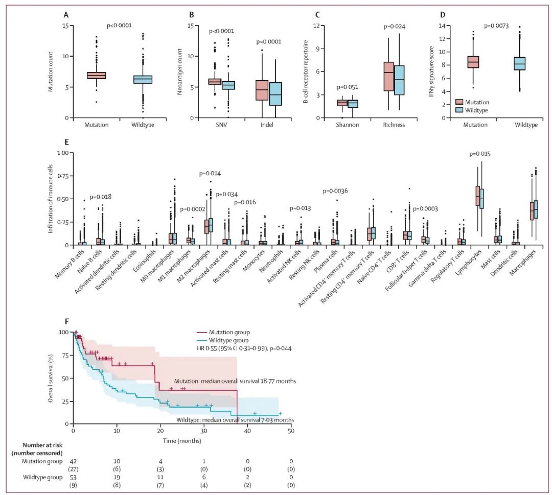 一项回顾性队列研究：具有高肿瘤突变负荷的微卫星稳定的胃肠道癌症的突变分析