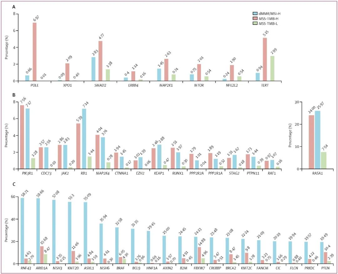 一项回顾性队列研究：具有高肿瘤突变负荷的微卫星稳定的胃肠道癌症的突变分析