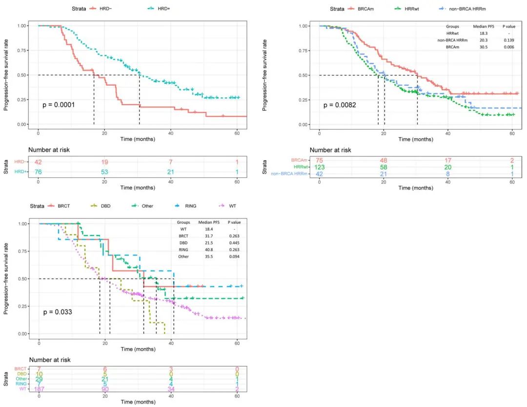 国内首个HRD检测前瞻性研究证实HRD检测可精准预测卵巢癌患者铂化疗敏感性