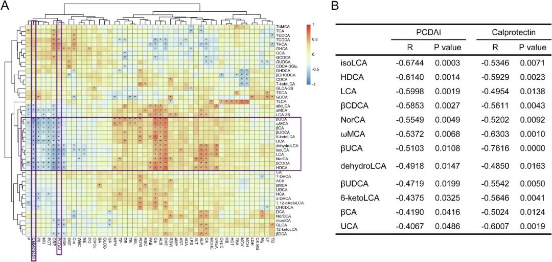 前沿科研：肠道菌群可能在全肠内营养治疗儿童克罗恩病过程中扮演重要作用