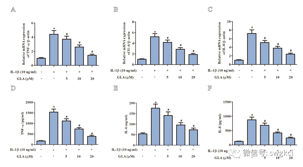 荐读 | 蓝萼甲素抑制骨关节炎软骨细胞炎症反应的研究